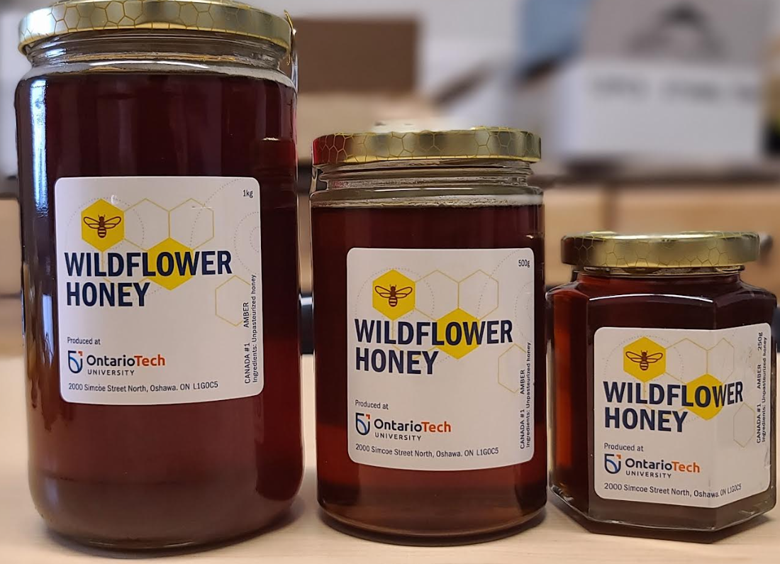 Ontario Tech Wildflower Honey - 1KG Jar – Markcol Distribution Limited